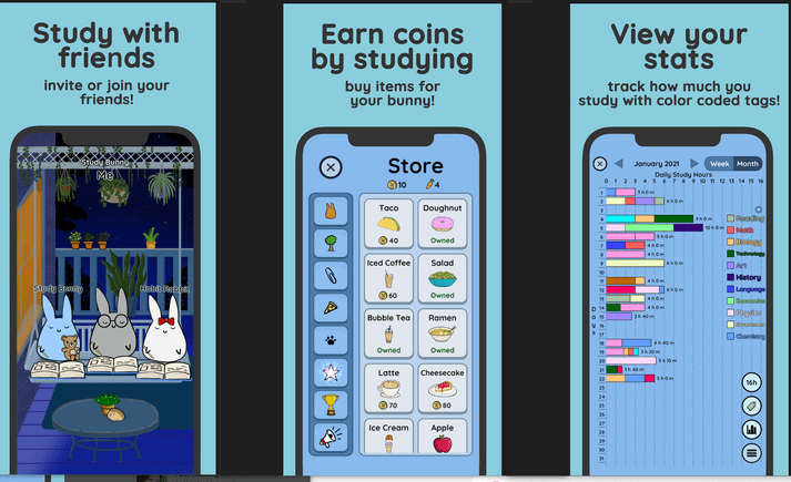 How to Install the Study Bunny App for PC