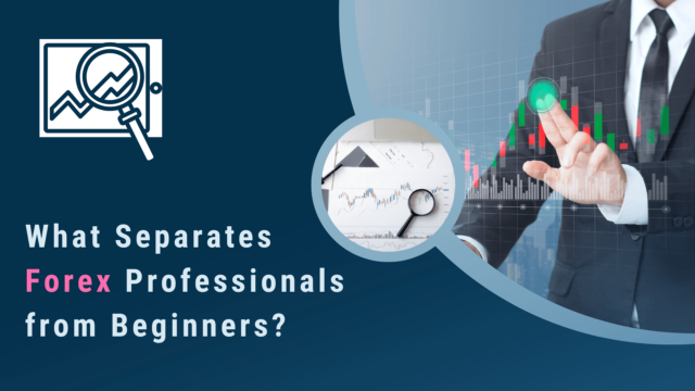 How Beginners Are Different From Professional Forex Traders?